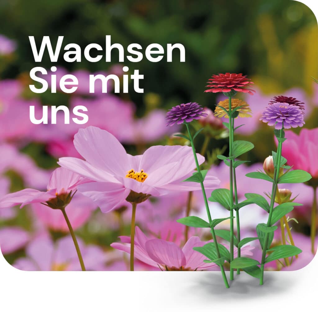 Grow with us - Steuber GmbH & Co. KG